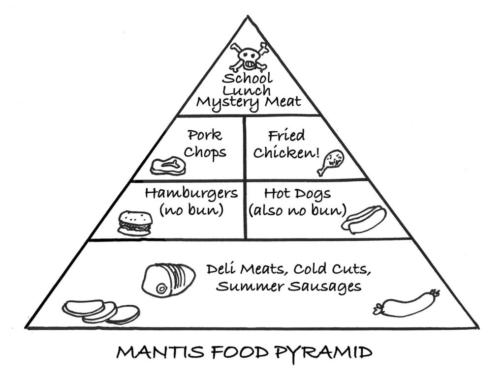Mantis Info | ROGER MANTIS